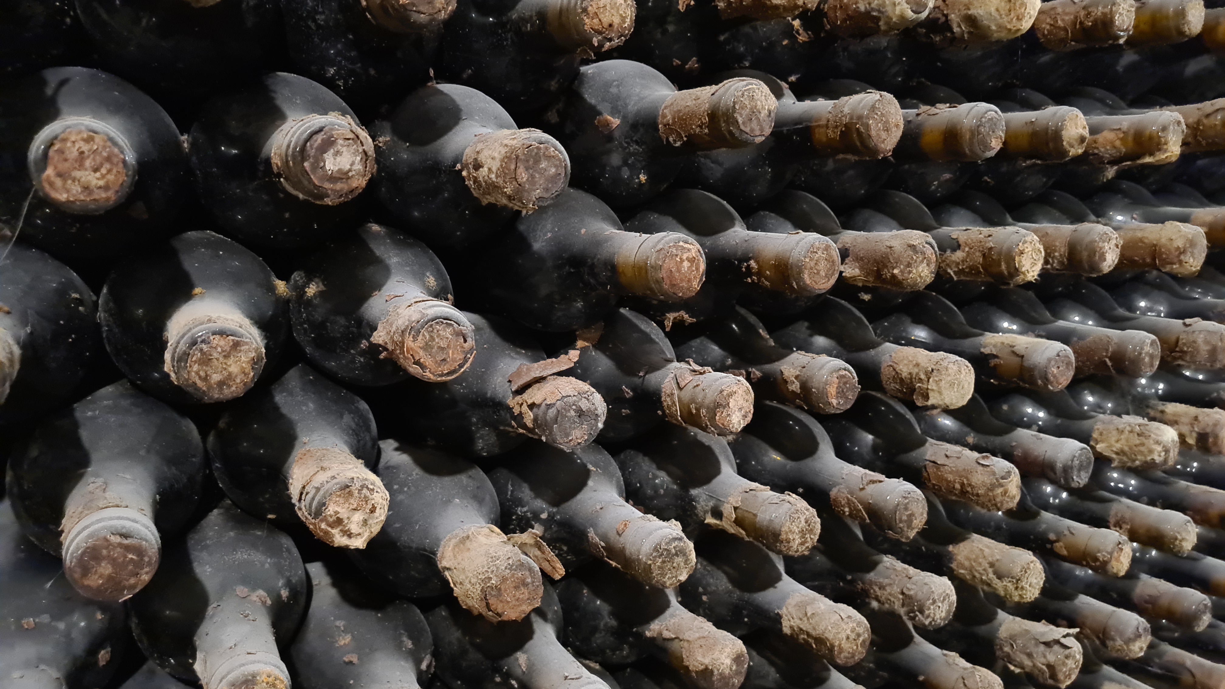 A visit to the most famous Moldovan wine cellars - Besides the Obvious