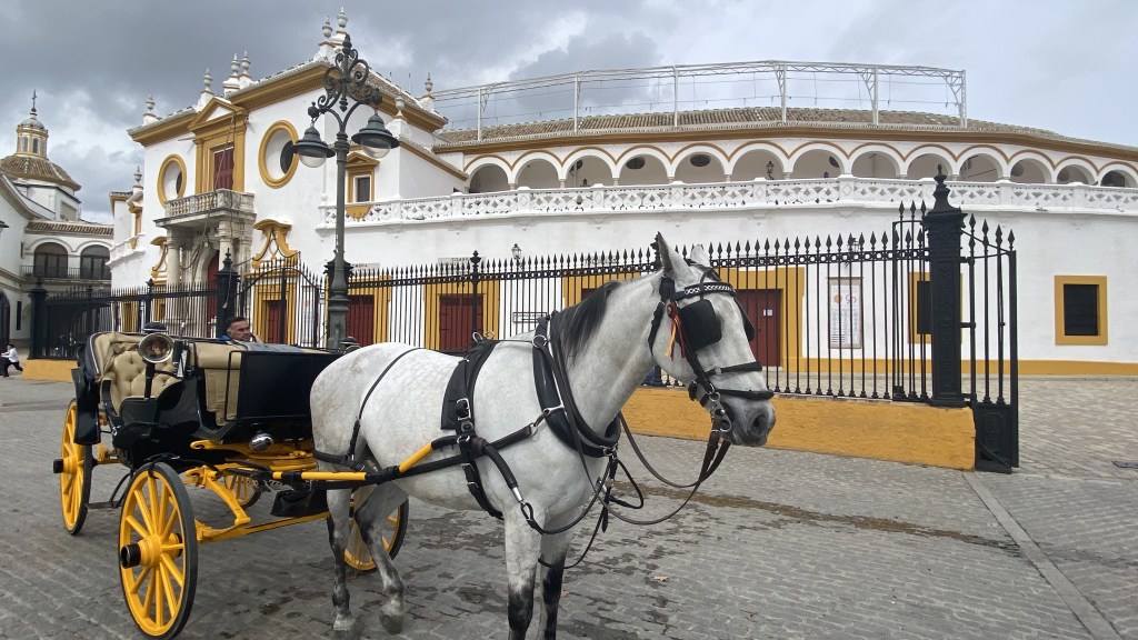Sevilla Bucket List - The Top 20 Places of the Andalusian Capital