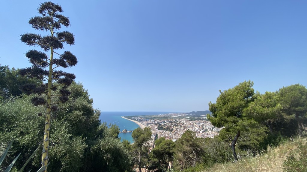 The top things to do in Blanes, on Costa Brava - Besides the Obvious