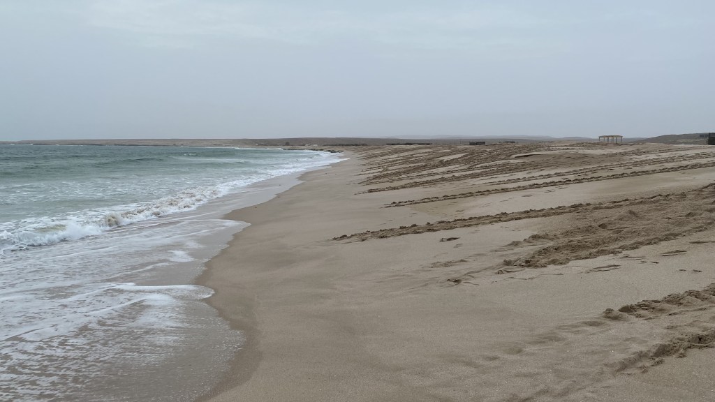 Turtles in Oman - Where to see them? - Besides the Obvious