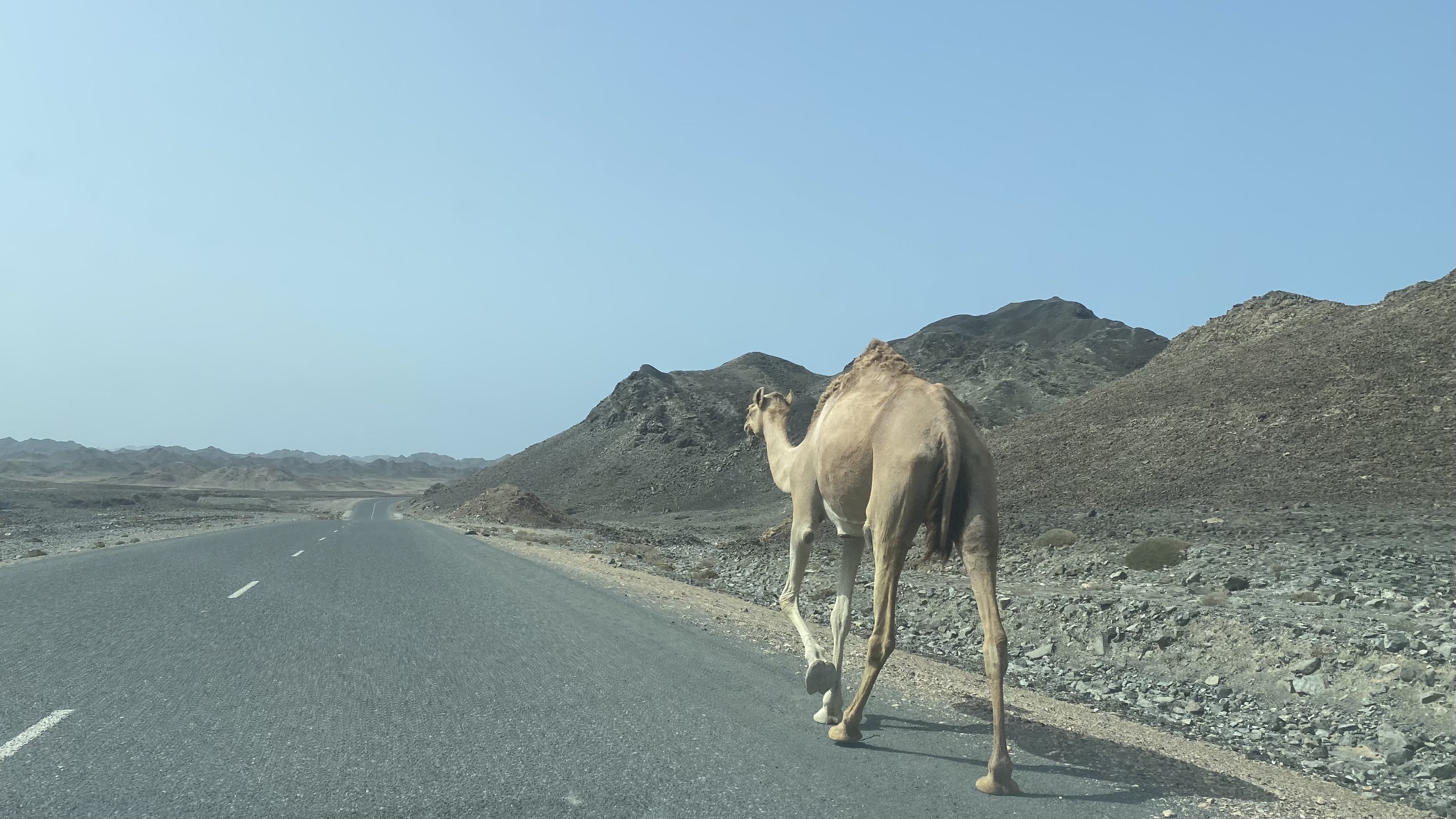 Border crossing by car - from UAE to Oman & back