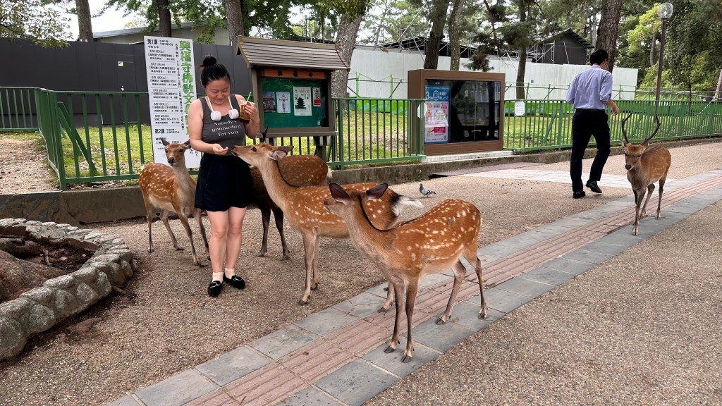 Discovering Nara, Japan - Besides the Obvious